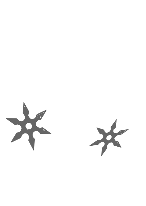 W i N P R i Z E S @ Ninja Star Flyers . com